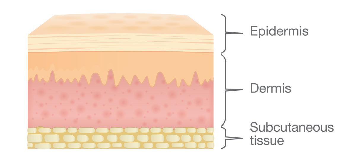 Understanding Your Skin